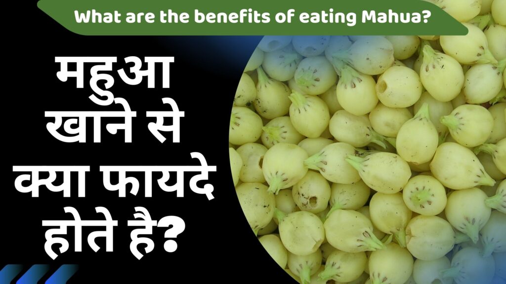 महुआ के फायदे: सेहत और सौंदर्य के लिए वरदान | 8 Best Mahua ke Fayde ...